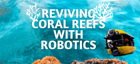 ROVs and AUVs Lead the Charge in Coral Reef Revival